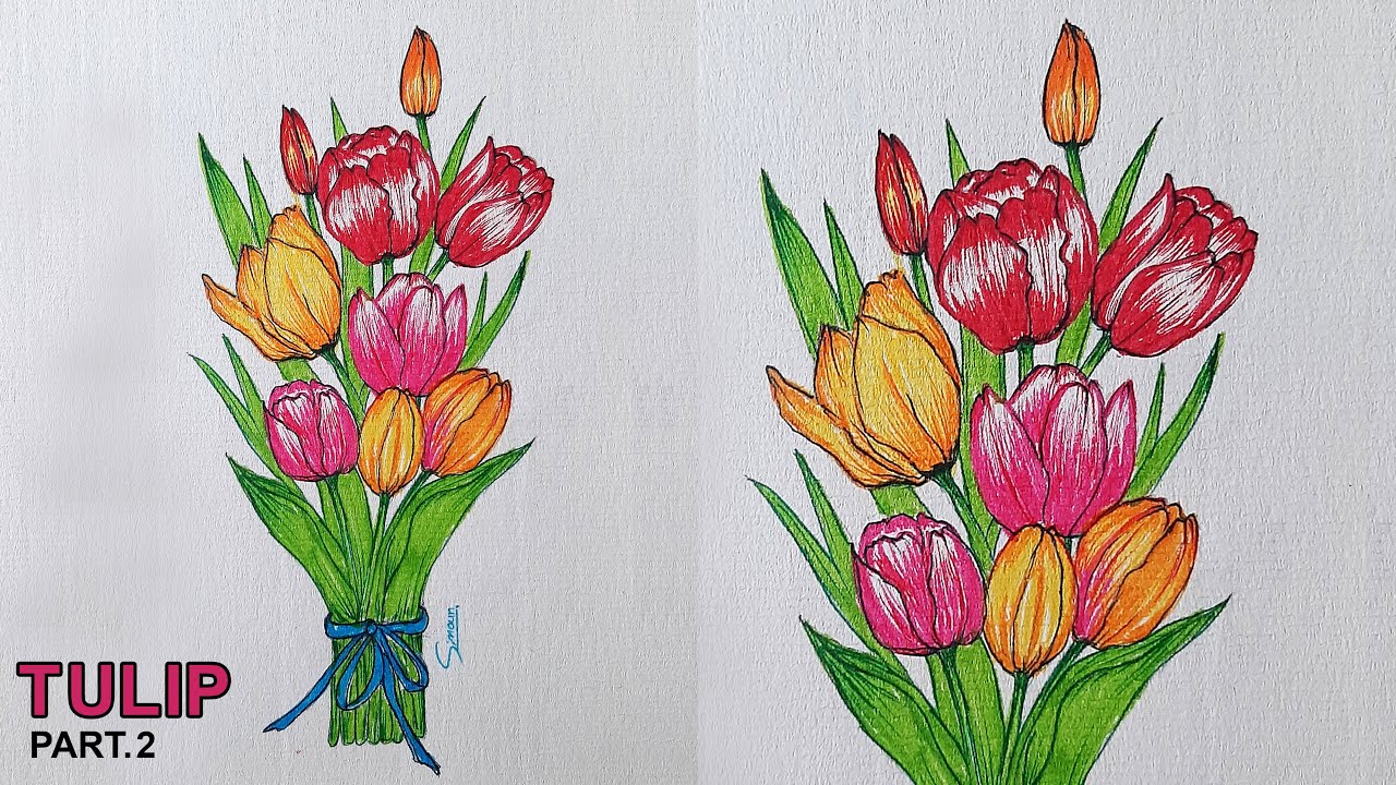 Tulip Drawing Part.2 |Tulip Bouquet | Sinoun Drawing - YouTube