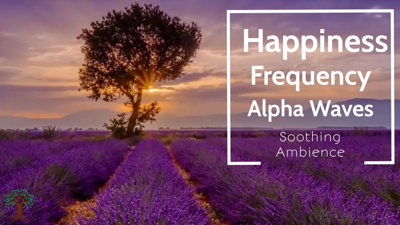 Happiness Frequency | Alpha Waves | Meditation Music Soothing - YouTube
