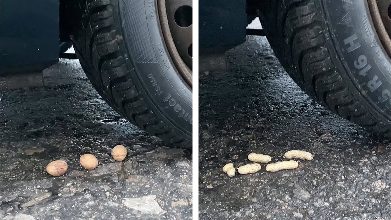 Experiment Car vs Nuts & Peanut - YouTube