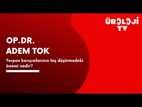 Tıbbi Aromatik Yağ (Terpen) Karışımlarının Taş Düşürmedeki Önemi Nedir?