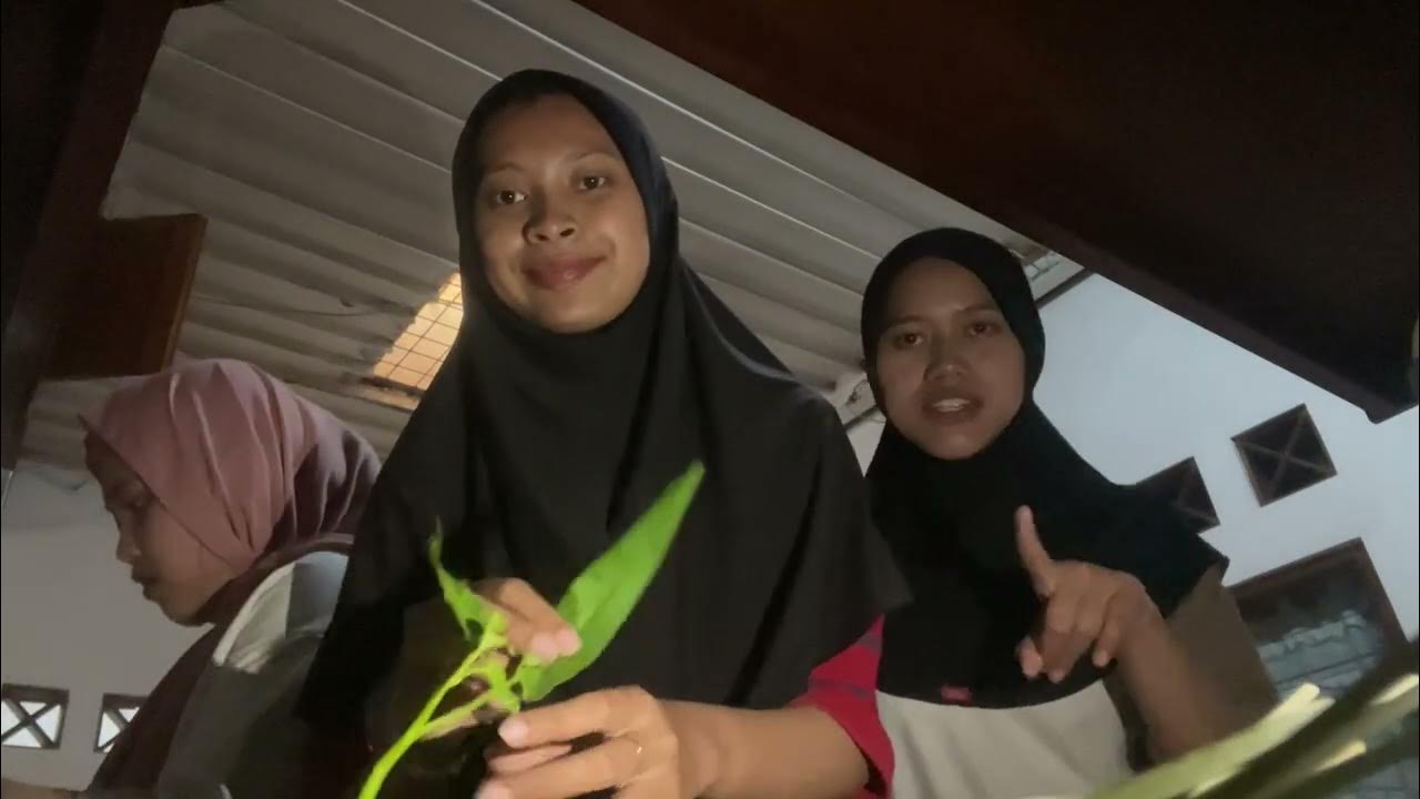 liwetann🍲 - YouTube