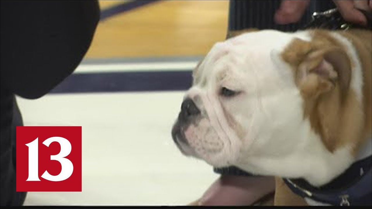 Butler Blue on Netflix - YouTube