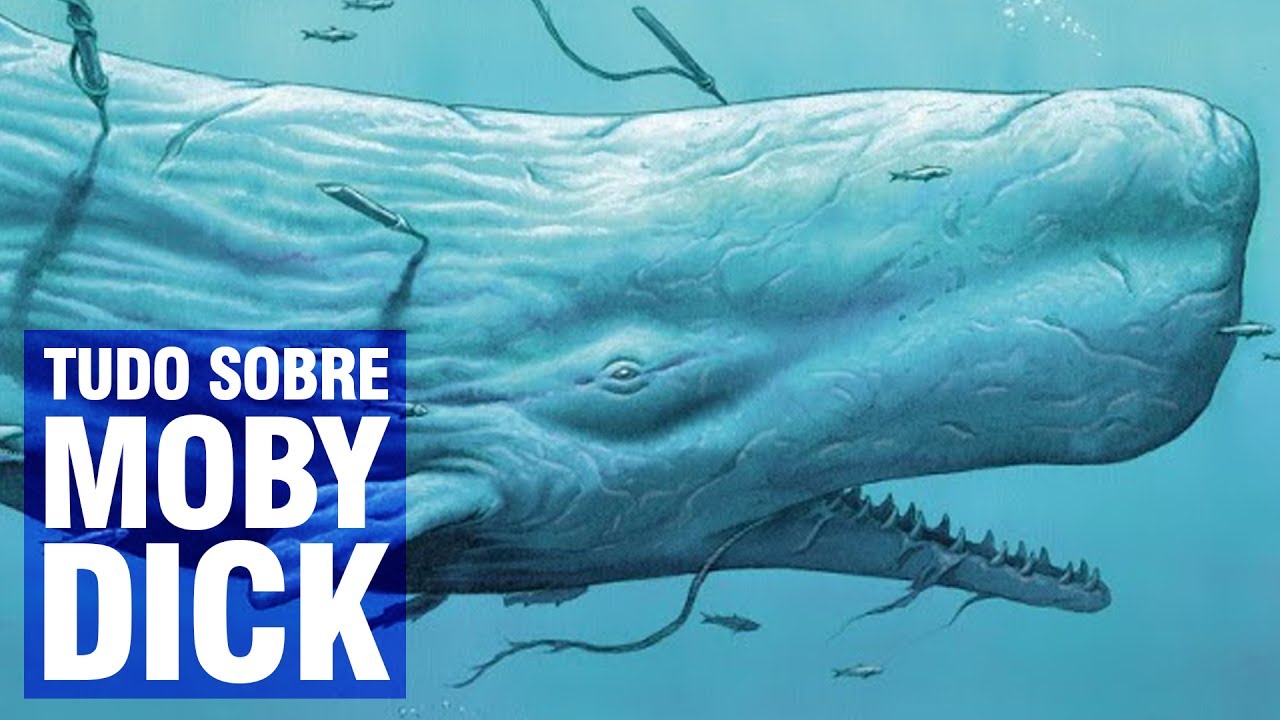 Entenda por que MOBY DICK é um clássico obrigatório | Pipoca e Nanquim ...