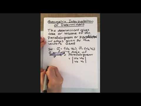 Geometric Interpretation of the Determinant - YouTube