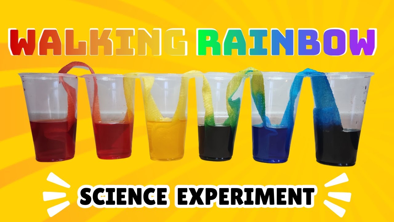 Walking Rainbow Science Experiment for Kids - YouTube