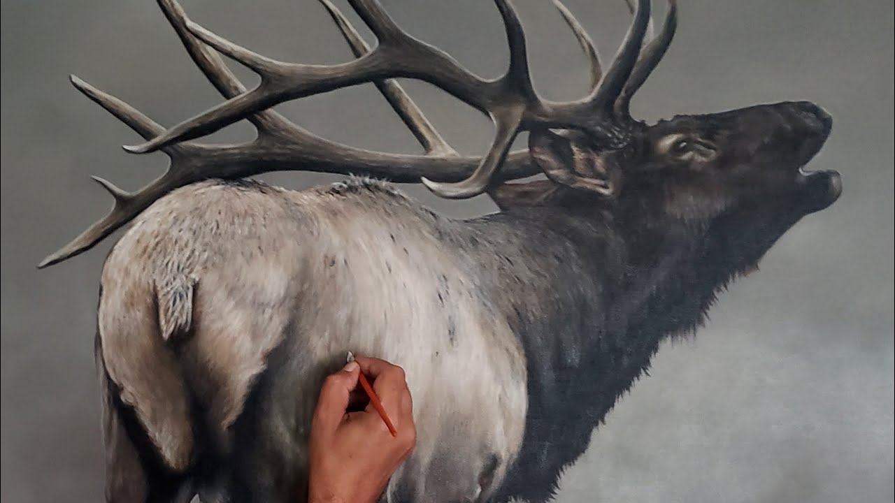Realistic oil painting of an elk - YouTube