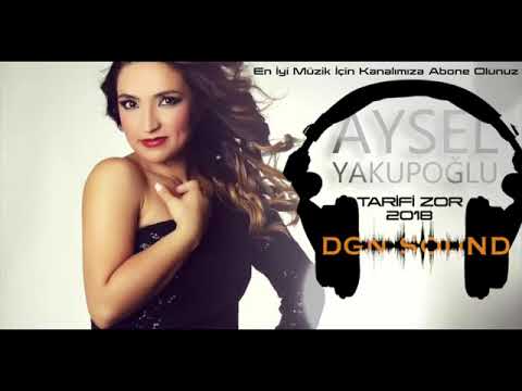 Aysel Yakupoğlu Tarifi Zor (Soner Sarıkabadayı) Cover