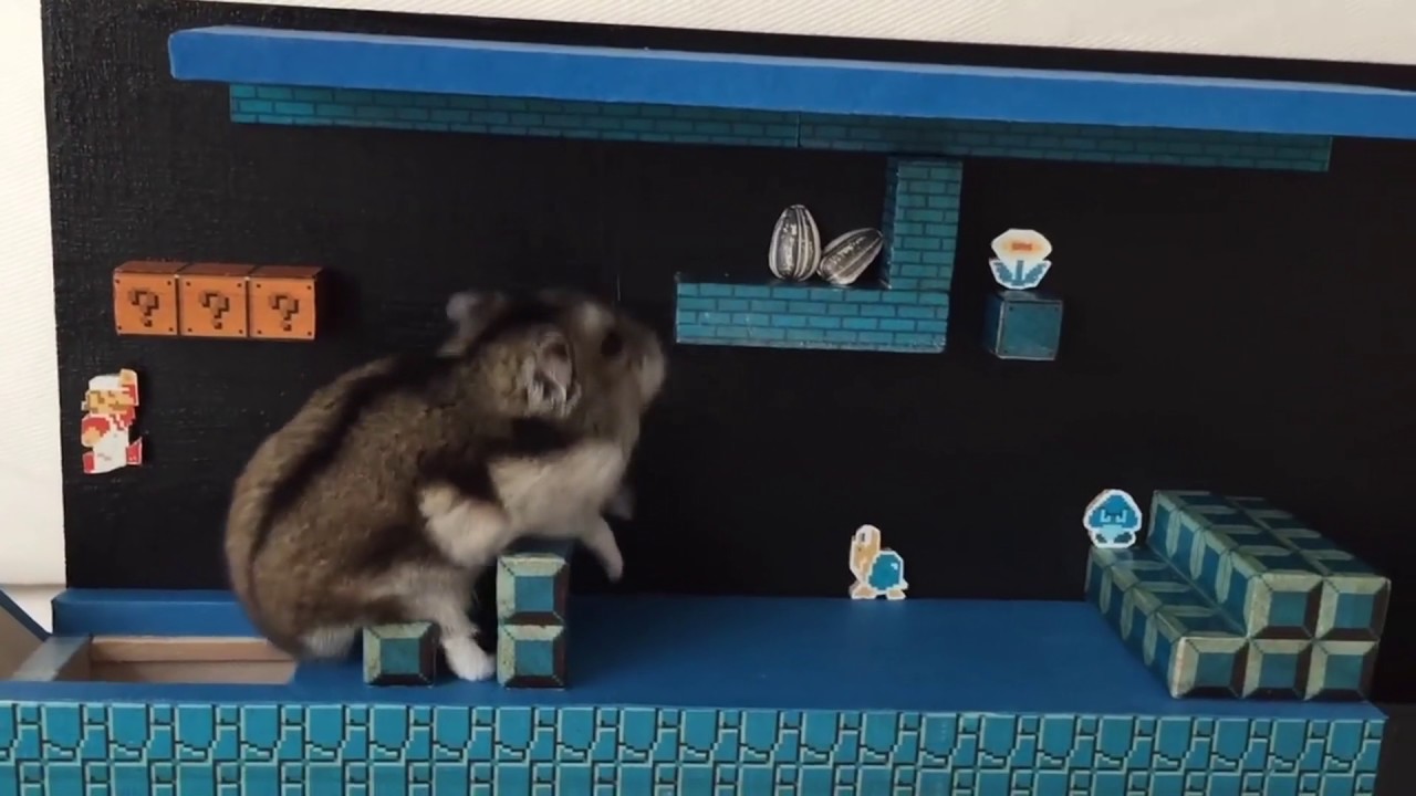 super mario hamster adex - YouTube