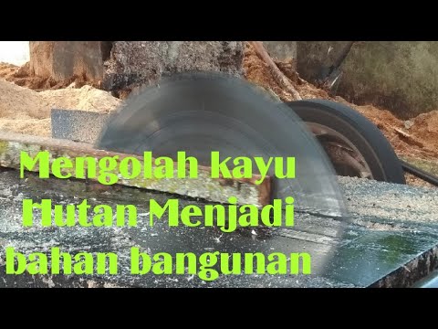 PENGOLAHAN SEMUA JENIS KAYU DI SOMEL - YouTube
