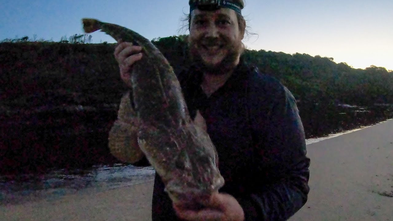 MASSIVE 70cm FLATHEAD Landbased - YouTube