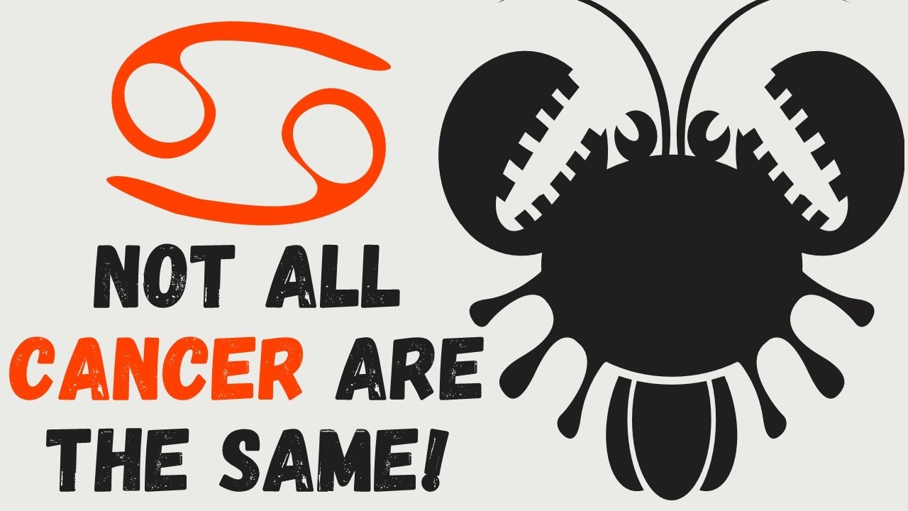 There are 3 Different Types of Cancer || Complete Guide on Cancer ...