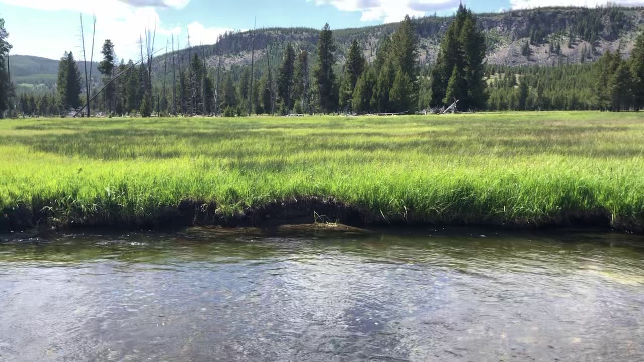 Yellowstone National Park by Mohsen Behnam - YouTube