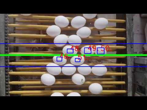 Egg counter with computer vision - YouTube
