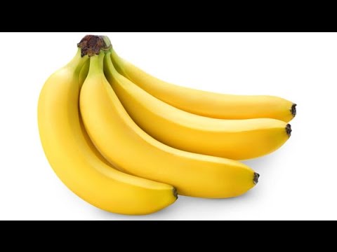 Bona Fide Cuisine Report - The Rare & Elusive BaNaeNae - YouTube