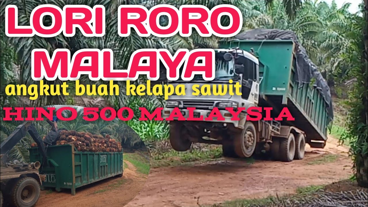 lori angkut buah kelapa sawit // Hino 500 Malaysia Roro bin - YouTube