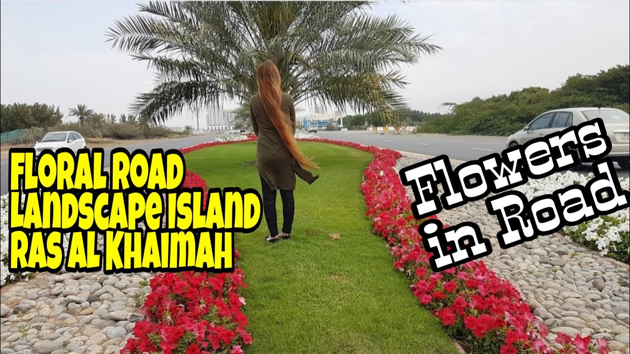 LONGEST ROAD LANDSCAPE FLOWERS || FLORAL HIGHWAY ROAD - YouTube