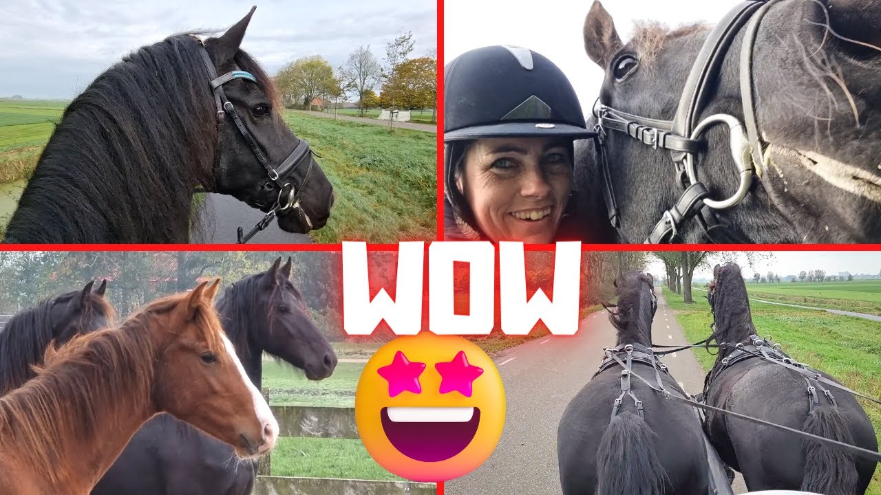 Queen👑Uniek and I 'On the Road Again' | Mother and daughter | Friesian ...