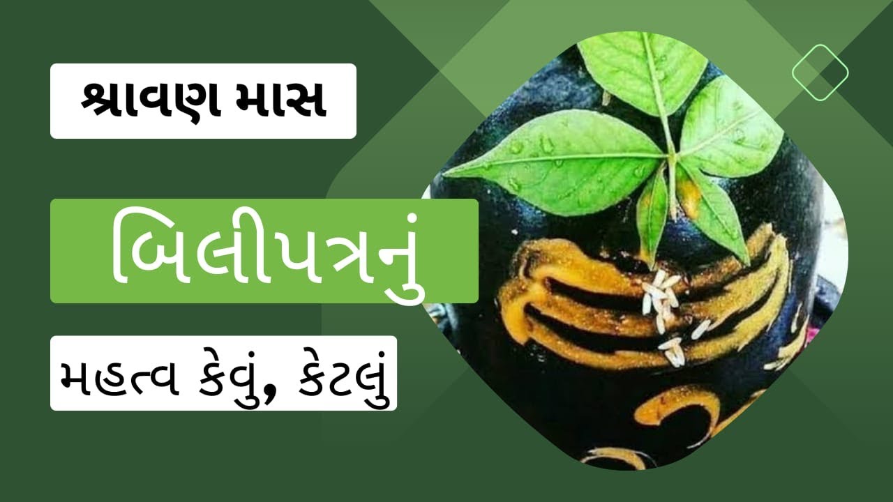 Bilipatra | શ્રાવણ માસમાં બીલીપત્રનું મહત્વ - YouTube