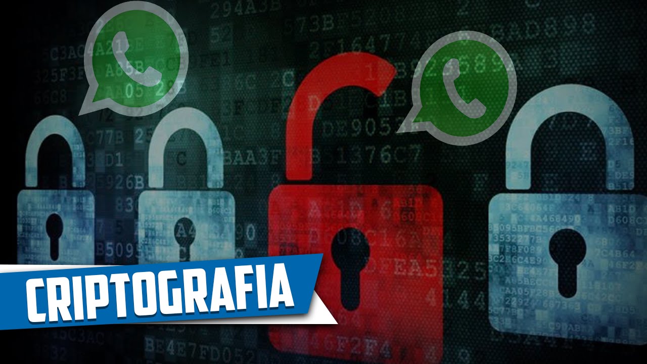 Criptografia de Ponta a Ponta no WhatsApp - O que é? Como funciona? Como ativar? - YouTube
