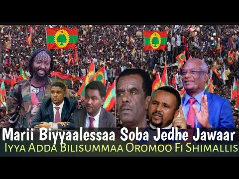 😭Waamicha Shimallis Abdisaa Deebii Jawaar, Iyya daawud Ibsa, Miixuu ...