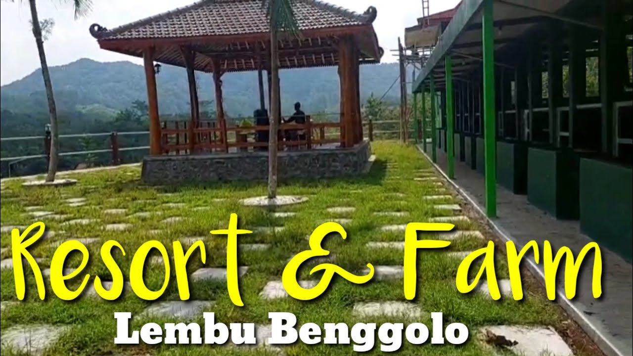 RESORT & FARM. LEMBU BENGGOLO - YouTube