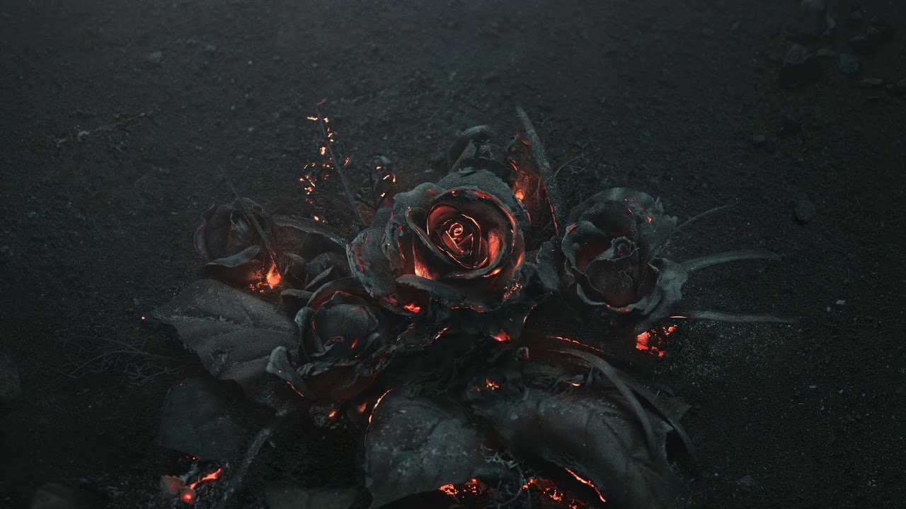 Ahaia Live Stream - YouTube