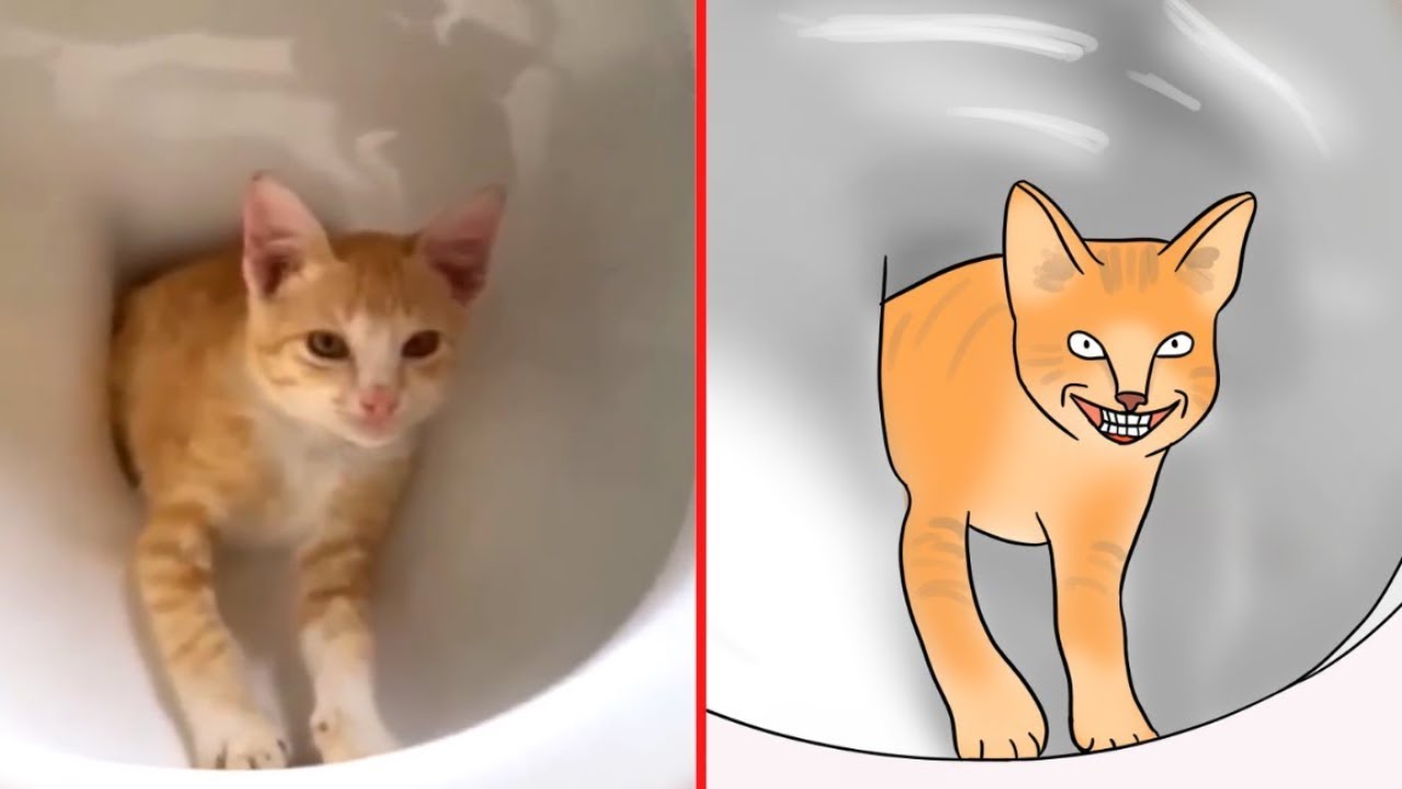 😂Cat Meme s: Skibidi Toilet Cat and Funniest Dogs - Drawing Memes Part ...