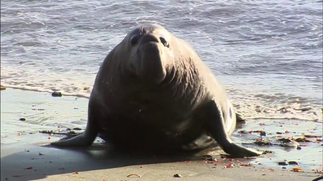 Five Cities area of the Central Coast California - YouTube