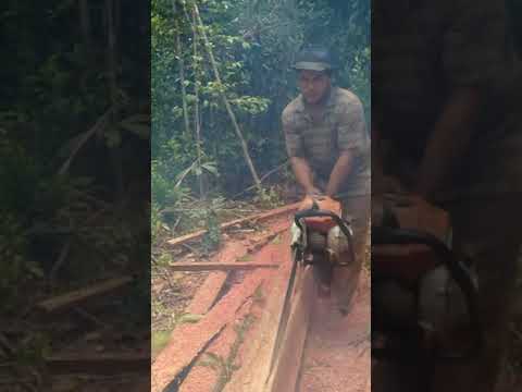 orang ngsek