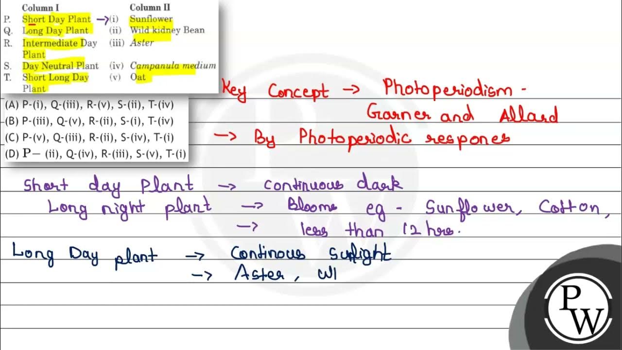 begin{array}{llll} & \text { Column I } & & \text { Column II } \\ \text { P. } & \text { Sh ...