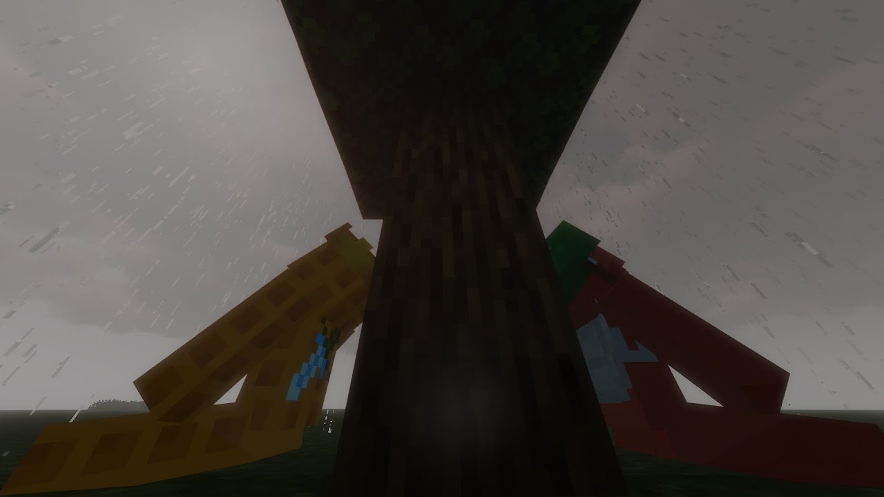 The Speed Smp Application (Accepted) - YouTube