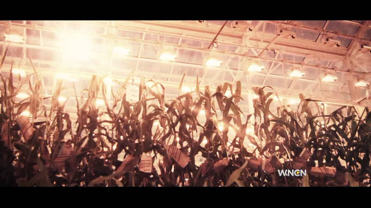 WNCN Today - Go be great, Raleigh! - YouTube