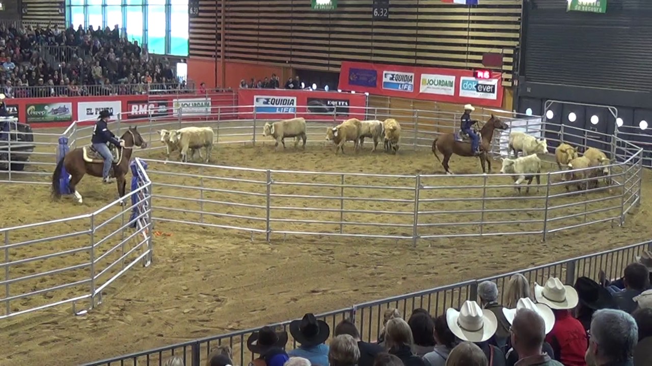 2016-10-28 MASTER RANCH SORTING EQUITA LYON - YouTube