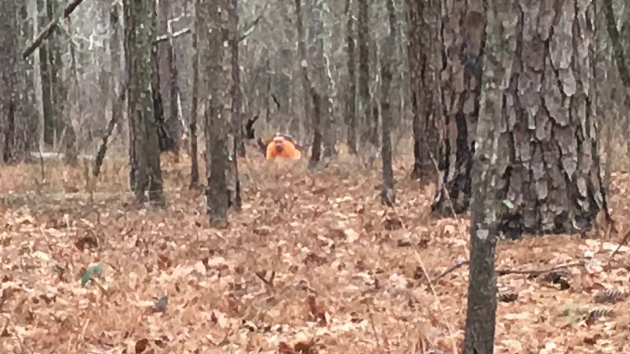 MBEST MBVD Mississippi Bigfoot Video Diaries ( Blinker Redo ) - YouTube