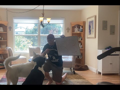How To Teach Your Dog To Count!!!