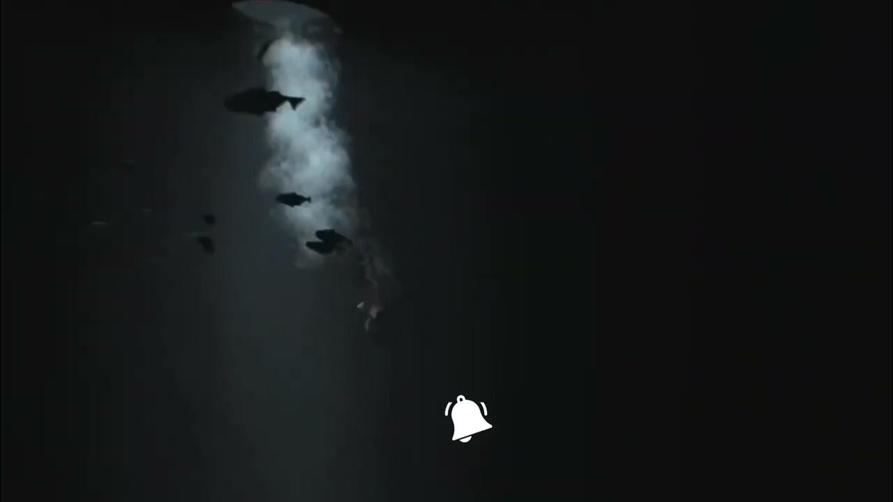 Play Dead's Inside Gameplay trailer/ Wizzle Gaming Trailer - YouTube