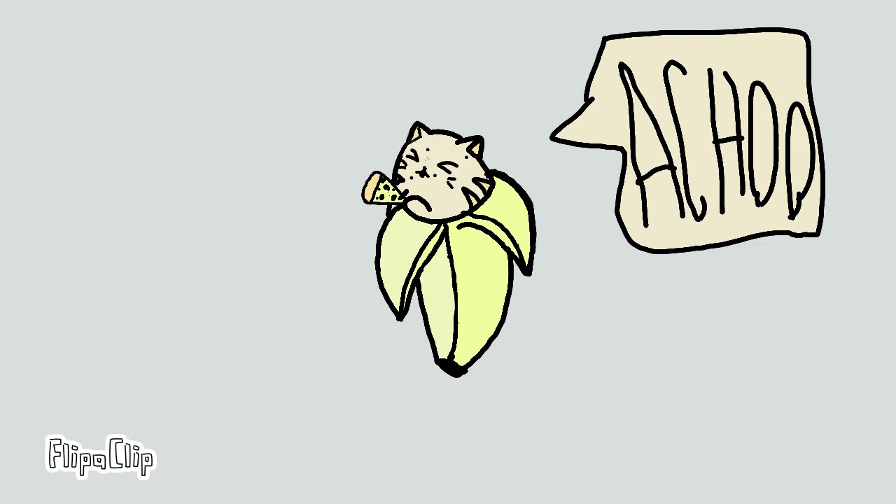 Banacat gets sick - YouTube