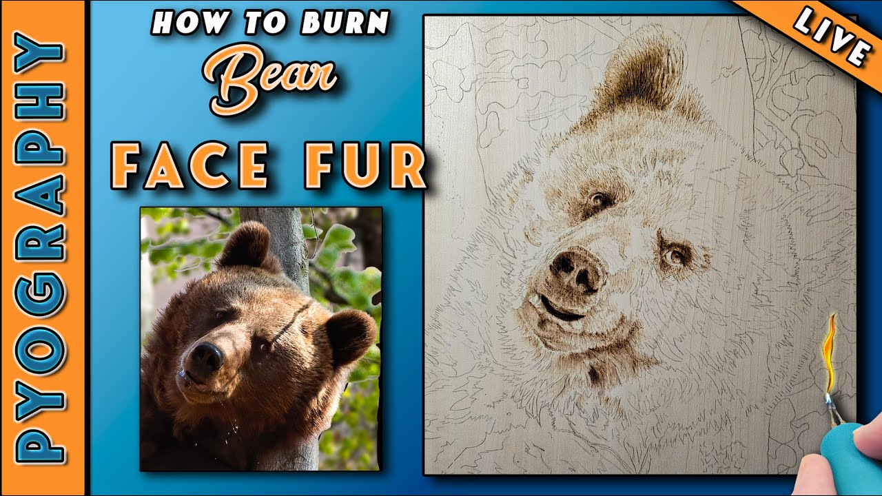 Master The Art Of Pyrography With This Grizzly Bear Face Fur Tutorial ...