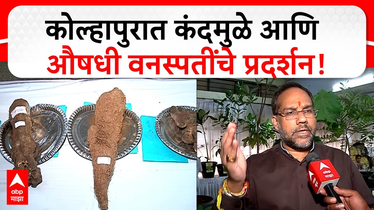 Kandmool Mahotsav Kolhapur | कोल्हापुरात कंदमुळे आणि औषधी वनस्पतींचे ...