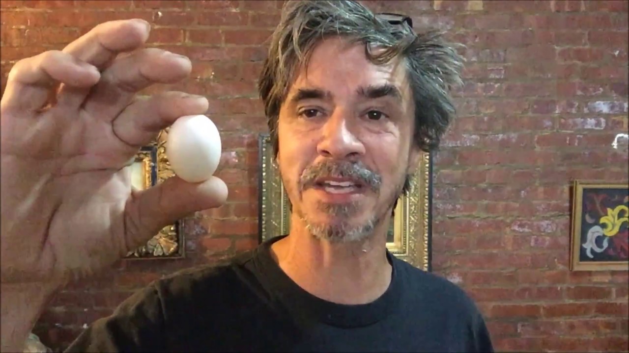 Man Hatch's Egg by holding it in Hand - YouTube