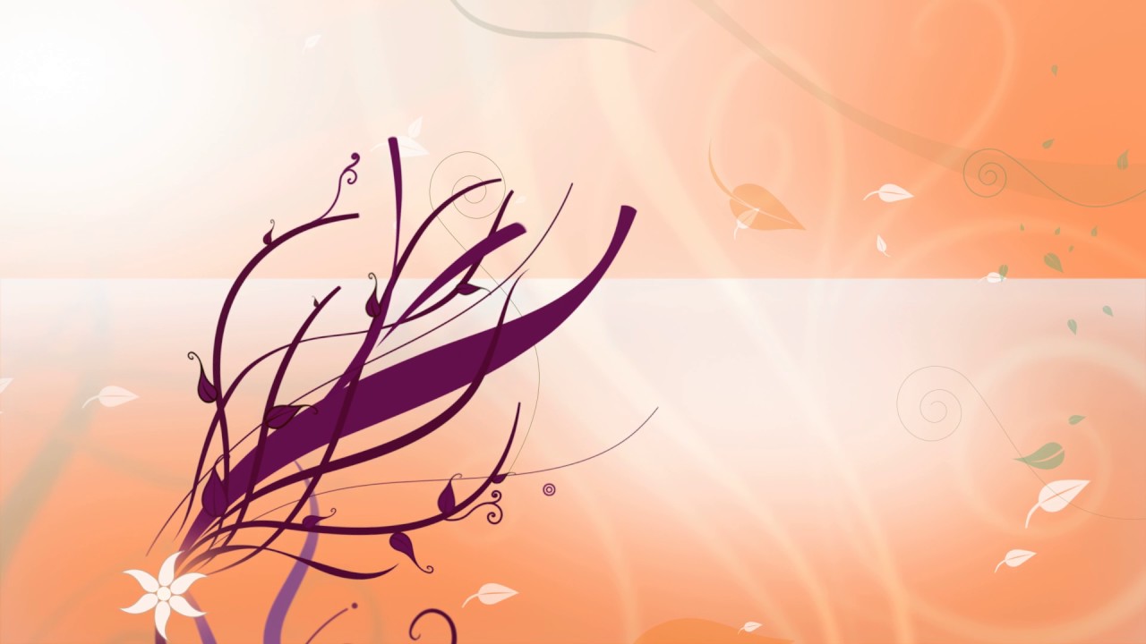 Футаж узор 20 Flourish - animation - YouTube