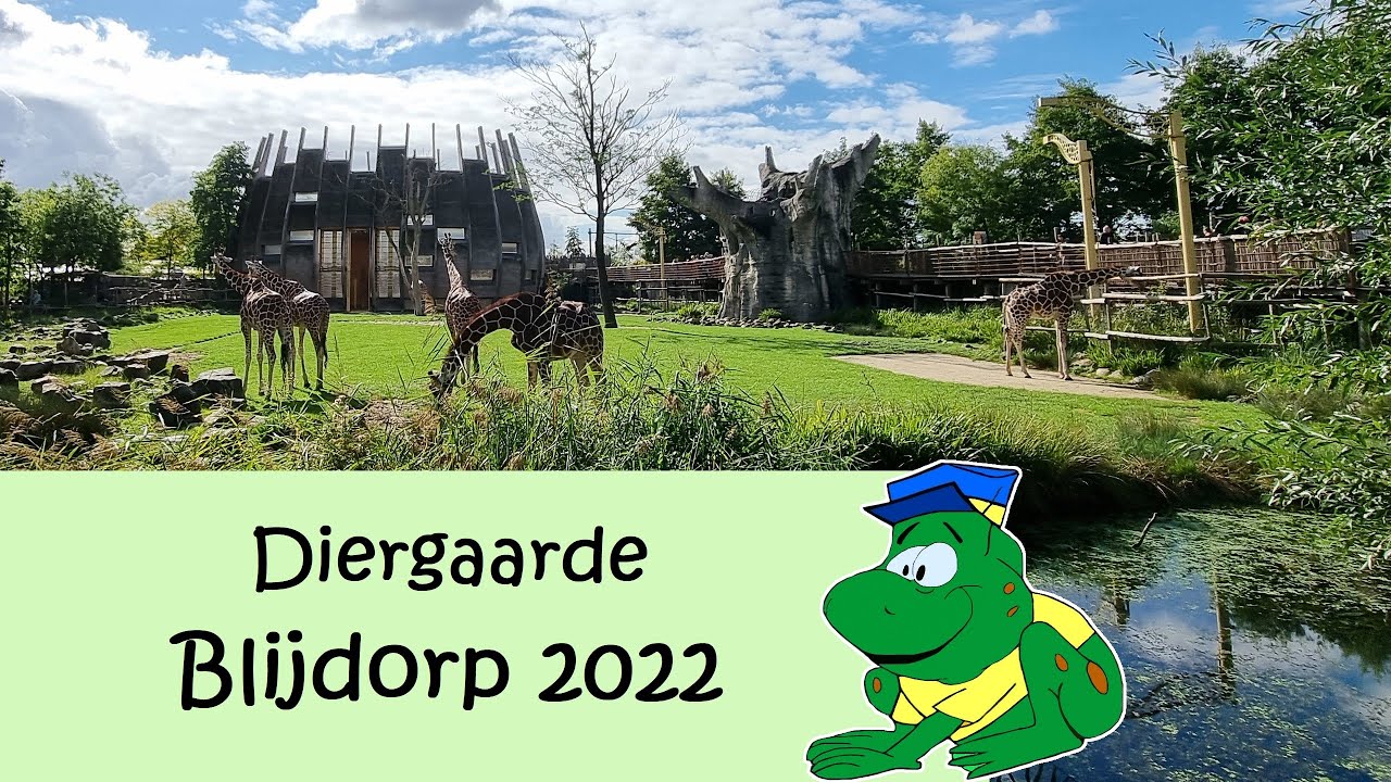Diergaarde Blijdorp, najaar 2022 - YouTube