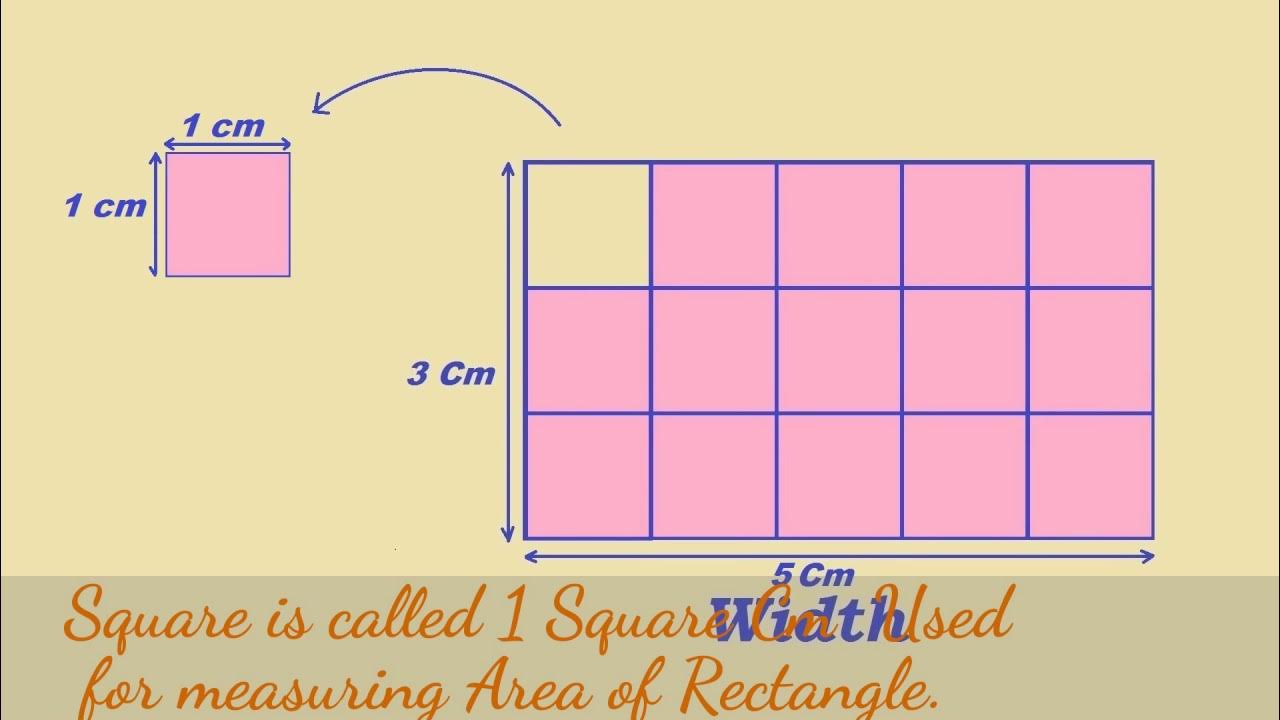 Area of Rectangle Explained | Maths vs Mind - YouTube