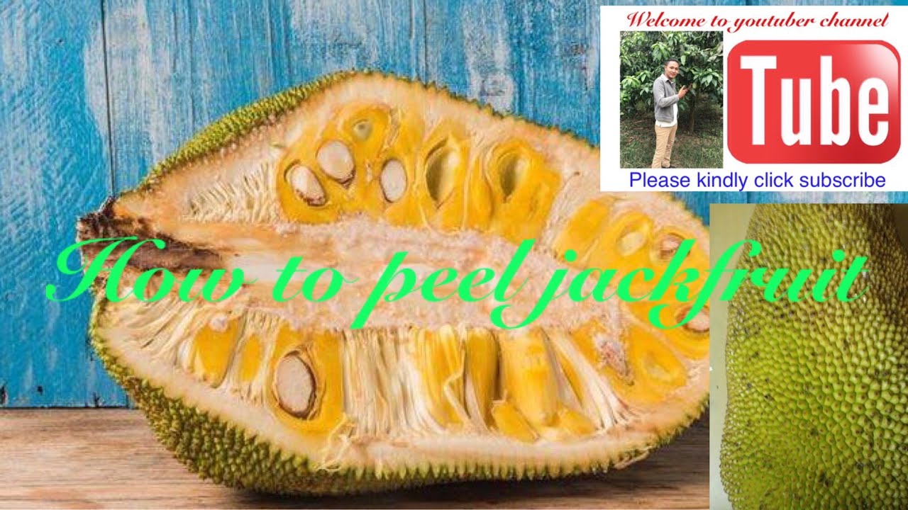 How to peel jackfruit correctly របៀបចិតខ្នុរ - YouTube