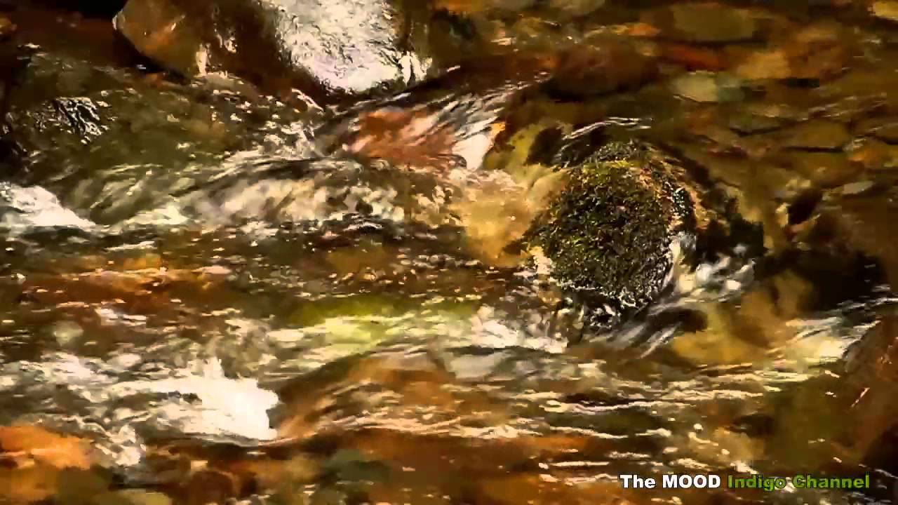 Wade In The Water - YouTube