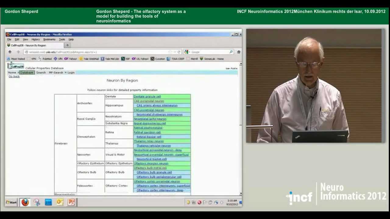Gordon Shepherd - The olfactory system as model for building the tools ...