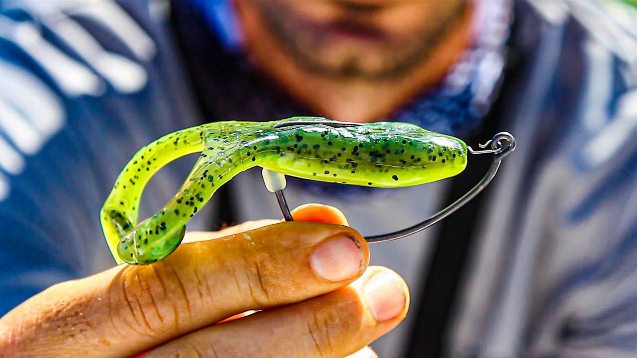 FISH EATING FROGS! - YouTube