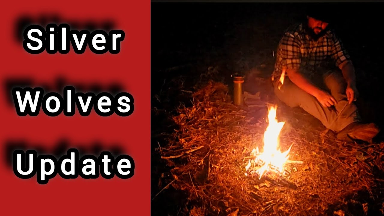 SILVER WOLVES UPDATE - YouTube