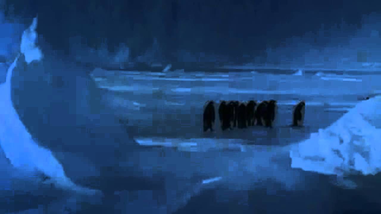 penguin falls down 10 minutes version - YouTube