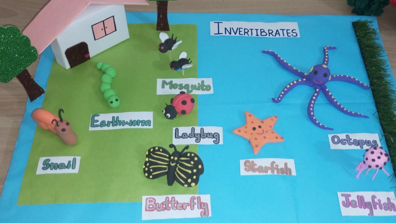 Model of science/model of invertebrates #trending #viral #youtube #diy ...
